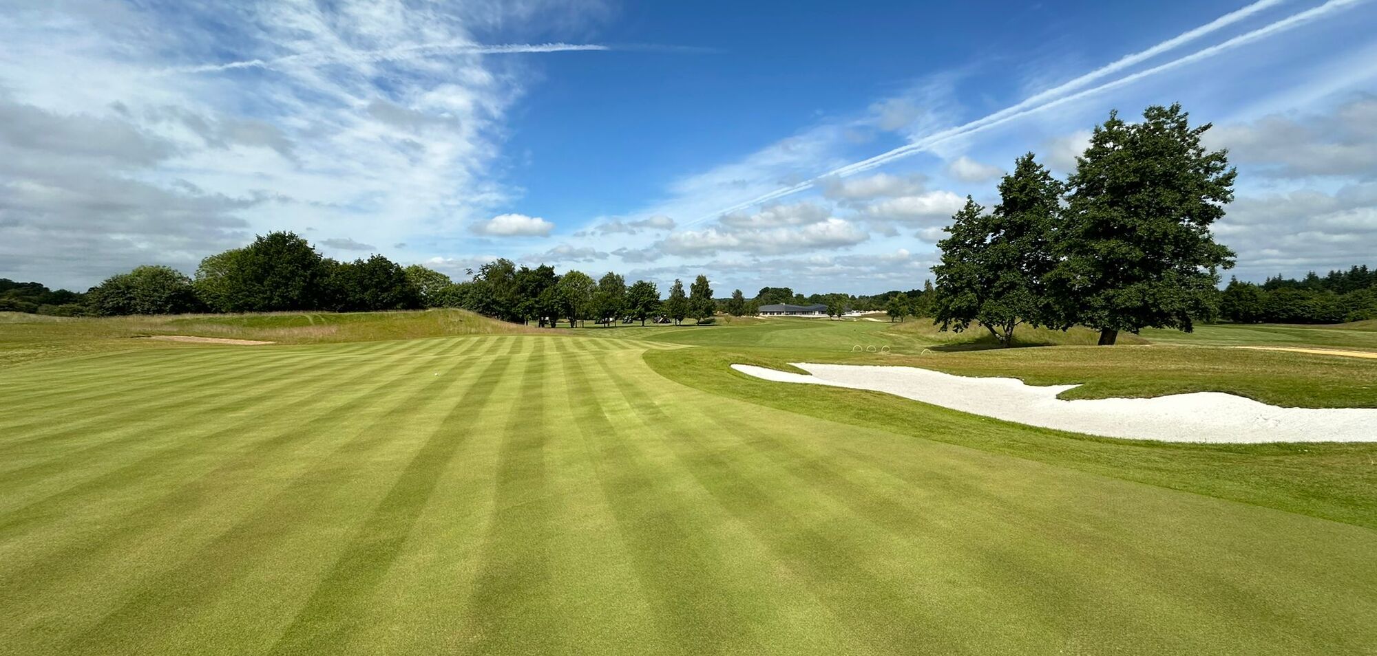 Home [www.basingstokegolfclub.co.uk]
